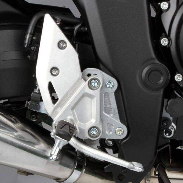 ※詳細な出荷時期はご注文後にメールでご案内します。■適合車種CB1000F　CB1000F 年式: 25-26  CB1000F SE　CB1000F SE 年式: 25-26  ■商品番号NPH08■JANコード4571414873642...
