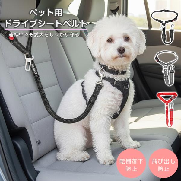 愛犬とのドライブを安全・快適にするペット用ドライブシートベルトです。急ブレーキや急カーブ時の衝撃を緩和するバンジーコードを採用し、ワンちゃんへの負担を軽減します。ヘッドレスト固定とシートベルトバックル対応の2WAY配置。360度回転フックで...