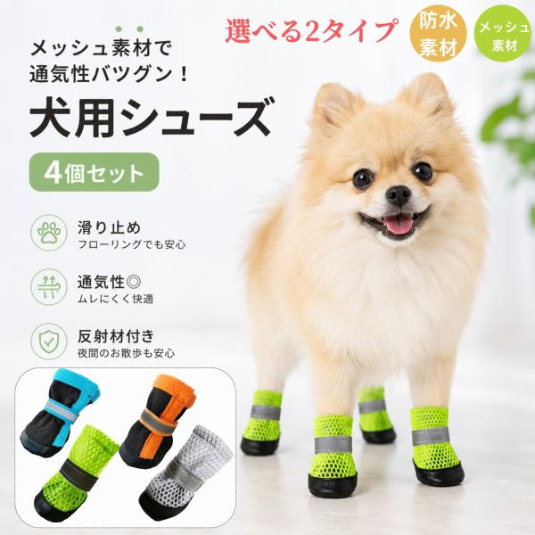 素材はポリエステルやラバー。グリーン、グレー、オレンジ、ブルーの4色、0号（3.5×3.0cm）から4号（5.5×4.6cm）までの5サイズ展開です。靴底は滑り止め仕様でフローリングでも安心。本製品は完全防水ではありません。前後の足でサイズ...