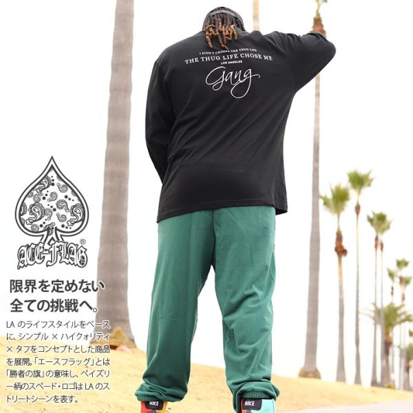 バイヤー推薦！2025年春新作最新のHIPHOPカルチャーを発信する、ストリート系ブランドのACEFLAGから、おしゃれなセットアップが入荷！Thug Life CollectionロンTにウエッサイを代表する伝説的ラップ・アーティストの『...
