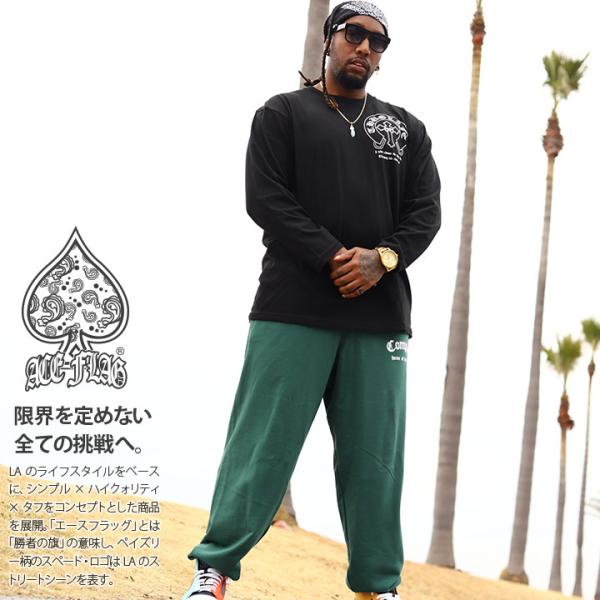 バイヤー推薦！2025年春新作最新のHIPHOPカルチャーを発信する、ストリート系ブランドのACEFLAGから、おしゃれなセットアップが入荷！おしゃれな西海岸系デザインThug Life CollectionロンTにウエッサイを代表する伝説...