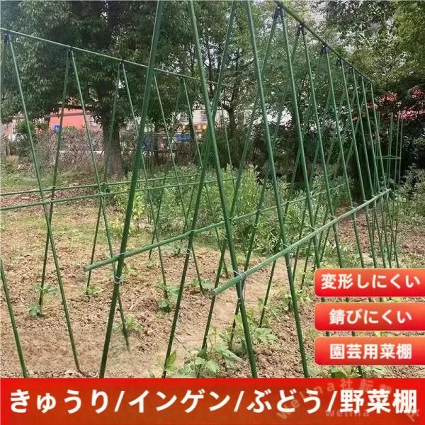 植物支柱 園芸支柱 つる空中栽培 つる性植物   観葉植物 きゅうり棚 ヘチマ棚、ブドウ棚 野菜棚 つる性植物棚
