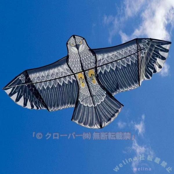 鳥よけ カイト 鷹 (ポール竿付) 軽量丈夫 防鳥具 鳥追い 畑 植物保護 農業用 カイト鷹 1.5m凧 4mポール
