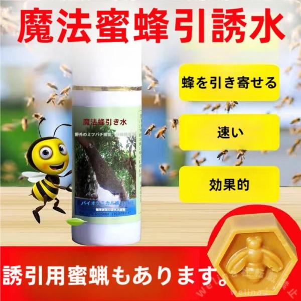 みつばちこいこい、ミツバチ 誘引 剤ンミツバチ 巣箱ニホンミツバチ誘引ミツバチ待ち箱ルアーミツバチ メントールミツバチ誘引物質ミツバチの水を集める