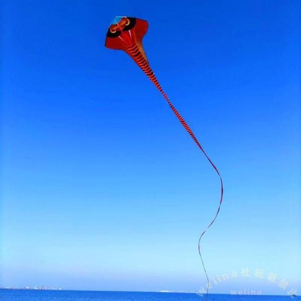 【特徴】大空を自由自在に飛び回るカイト！骨がないタイプで折れる心配なし、折りたたみで持ち運び楽々?可愛いカラフルのデザインで子供のプレゼントとして適！■セット内容:本体シート、横棒、タコ糸■製品サイズ:(約)W1900mm×H1120mm、...