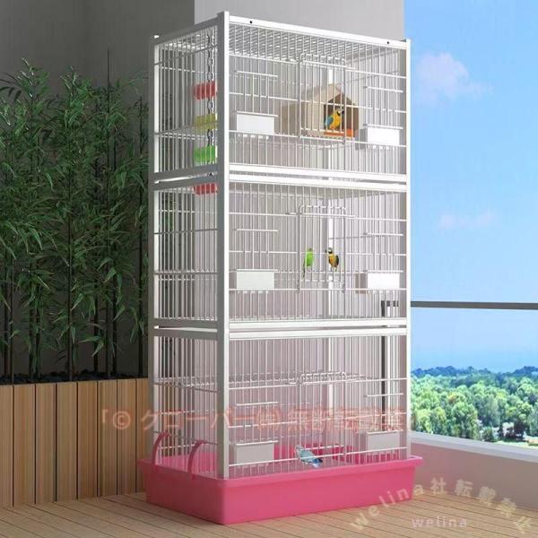 【バーディーズアミューズメントパーク】：大きなケージは鳥の生息地です。私たちのバードケージには、鳥が休んだり遊んだりするためのプラットフォームとはしごが付いています。バードケージの全体的な環境は自然をシミュレートし、鳥が幸せに暮らせるように...