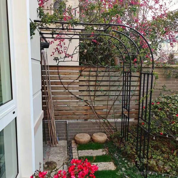 【ガーデンアーチトレリス】：屋外クライミングパーゴラハーフアーチは、バラ、クレマチス、バラ、朝顔など、バルコニー、中庭、庭園などのさまざまなクライミング植物をサポートするのに適しています。【DIYあらゆるサイズ】：最も完全なサイズがあり、ア...