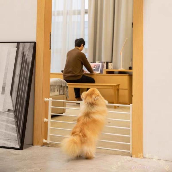 素材:スチール（エポキシ粉体塗装）ABS樹脂・スチール◆置くだけ簡単設置のシンプルフェンスわんちゃんにセーフティスペースを置くだけで簡単に設置できるので活動範囲にあわせて設置できます。入ると危険な場所?入られると困る場所からペットをしっかり...