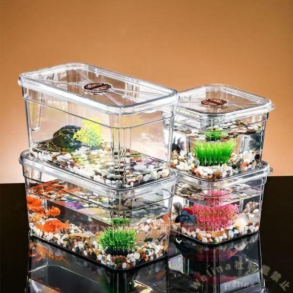 移動に便利な持ち手がついたミニ水槽(単品)。積み重ねて置くことができます。【サイズについて】画像をご参照ください。【素材について】PET【カラーについて】生産ロットにより柄の出方や色の濃淡が異なる場合がございます。お使いのモニターや撮影時の...