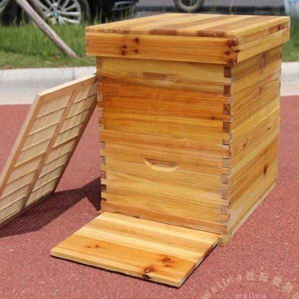 *商品仕様：素材：杉材：重量：約11950g ；サイズ：約 55x45x59cm*養蜂製品：完全なセット、簡単な組み立ては、非常に実用的な養蜂製品です。蜂蜜をより安全で、より自然で新鮮なものにすることができます。養蜂家にとって理想的なツール...