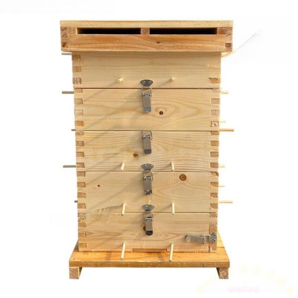 ★ユニークなデザイン:蜂の巣巣礎を必要としない。竹串で代用する。蜂蜜を取るのは簡単で、繰り返し取り出す必要がなくて、ミツバチに対する妨害を減らします。★より安全:養蜂箱網の設計があり、外の昆虫から蜂を守ることができます。掃除はもっと便利で、...