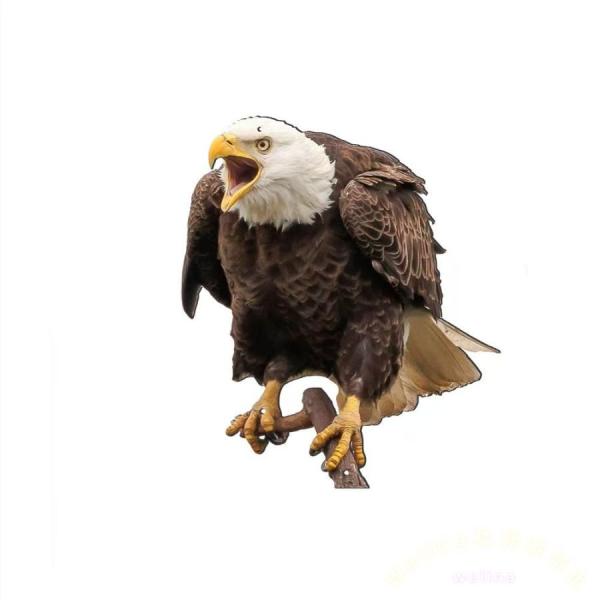 光の反射にて鳥よけ鳩などの害鳥が強光が怖がる特徴を利用し、本製品は各角度で太陽光による反射、鳩などの害鳥を近寄らせません。同時に両面二色の設計で特定的な色が怖がる鳥をより付けません。模様にて鳥よけ鳩などの鳥たちが天敵のフクロウを怖がる特徴に...