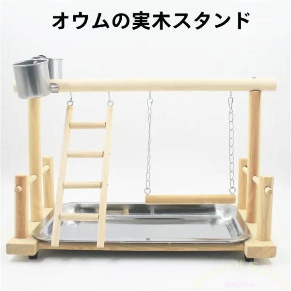 商品詳細※こちらの商品はお客様ご自身で組み立てをお願い致します。 上質な素材 天然の木製素材でカジカジして遊んでも安心です。くちばしのお手入れや、頭をこすって羽根づくろいをしたりと用途も満載です。 取り付け簡単 金具フックの吊り下げ式のアス...