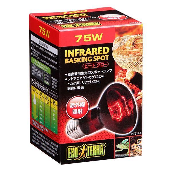 【商品名】 ジェックス ヒートグロー赤外線照射ランプ 75W PT2142 【ペット用品】  [ PT2142 ]