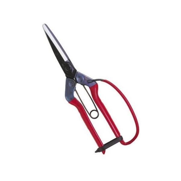 果実の摘果作業、野菜（玉葱・キュウリなど）の収穫、松の手入れ、太物、厚物に適した長刃です。本職園芸用です。青果鋏（ガード付）です。全長：２１５ｍｍ。重量：１４５ｇ。刃長：６３ｍｍ。