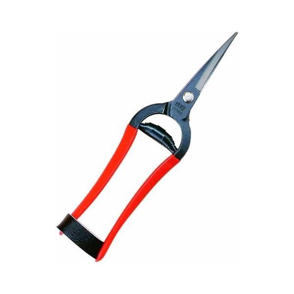 【発売日：2017年10月30日】曲刃の芽切鋏です。