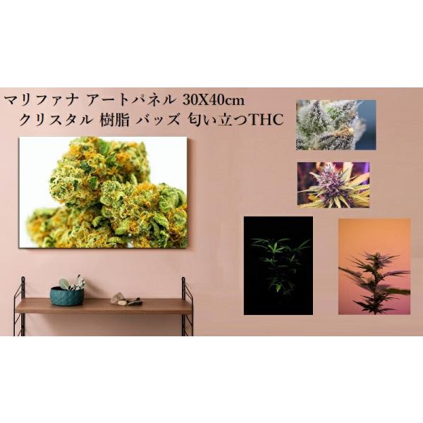 【マリファナ バッズ 420 カンナビス 麻 THC テトラヒドロカンナビノール Marijuana サイケデリック 幻想的 瞑想】 高画質パネルアートパネル 壁掛け 30X40cmcm インテリア キャンバス 木枠付き ポスター インディ...
