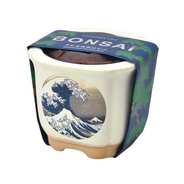 【聖新陶芸 JAPANESE BONSAI 波富士 GD-64003 ギフト 栽培セット ガーデニング 日本 お土産 インバウンド】浮世絵の名家がデザインされた美濃焼の盆栽鉢で松を育てます。「富岳三十六景」シリーズに加えて、猫をモチーフにし...