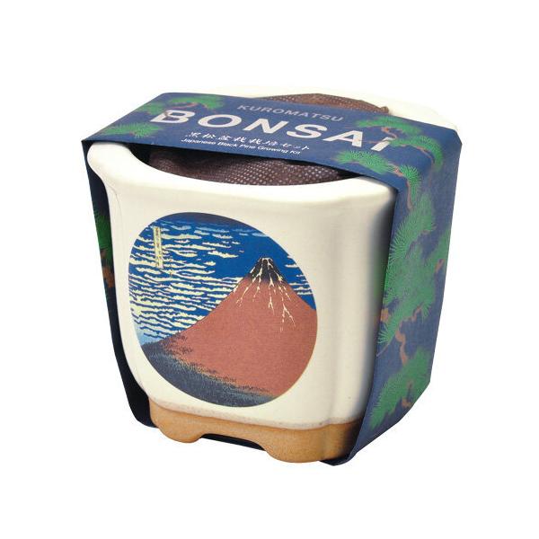 【聖新陶芸 JAPANESE BONSAI 赤富士 GD-64004 ギフト 栽培セット ガーデニング 日本 お土産 インバウンド】浮世絵の名家がデザインされた美濃焼の盆栽鉢で松を育てます。「富岳三十六景」シリーズに加えて、猫をモチーフにし...