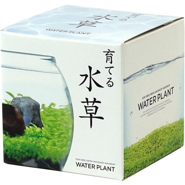【 聖新陶芸 GD-812 育てる水草 S 植物栽培セット 母の日 父の日 ギフト プレゼント 景品 学習教材】球体のガラス鉢に光が差し込み、いっそう潤いを増す水草のある空間。美しいアクアリウムや水槽に憧れはあっても、インテリアに取り入れる...