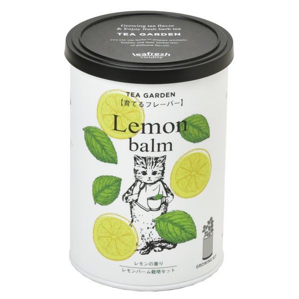 【 育てるフレーバー レモンバーム 観葉植物 ガーデニング 聖新陶芸 ギフト プレゼント 栽培セット インテリア雑貨】フレーバーティーを手にしたネコが描かれたパッケージが、そのまま栽培ポットになるハーブの栽培セット。お部屋で育てやすく、香り...