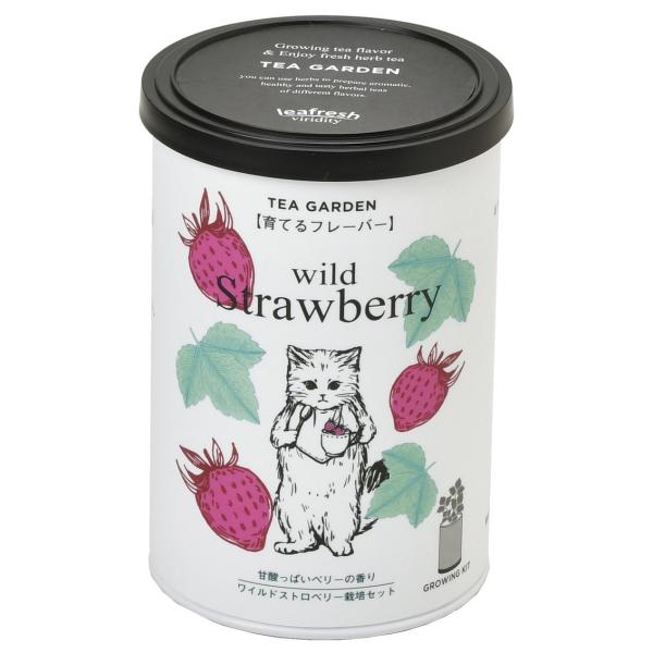 【 育てるフレーバー ワイルドストロベリー 観葉植物 ガーデニング 聖新陶芸 ギフト プレゼント 栽培セット インテリア雑貨】フレーバーティーを手にしたネコが描かれたパッケージが、そのまま栽培ポットになるハーブの栽培セット。お部屋で育てやす...