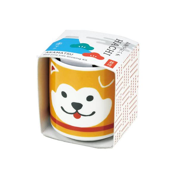 【 聖新陶芸 GD-92201 お芽でたおちょこ ハチ公 茶 赤松 植物栽培セット 母の日 父の日 ギフト プレゼント 景品 学習教材】忠犬「ハチ公」のおちょこで縁起の良い赤松と黒松を育てます。根気強く、帰らぬ主人を待ち続けた「ハチ公」にな...