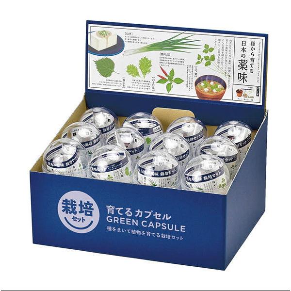 【 聖新陶芸 GD-926 育てるカプセル 薬味 わさび菜 三つ葉 ねぎ 鷹の爪 青じそ アソート 24個入り業務用BOX 植物栽培セット 母の日 父の日 ギフト プレゼント 景品 学習教材】栽培に必要なものをカプセルに詰め込んだ栽培セット...