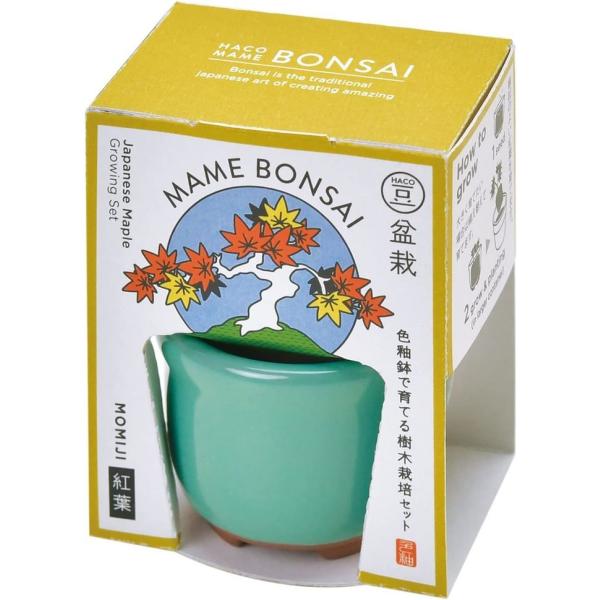 【 聖新陶芸 GD-96503 HACO MAME 盆栽栽培セット 紅葉 植物栽培セット 母の日 父の日 ギフト プレゼント 景品 学習教材】小さいながら本格的な豆盆栽を種から育てる栽培セット。豆鉢は、朱泥ロ風のマットな陶器に映える艶やかな...