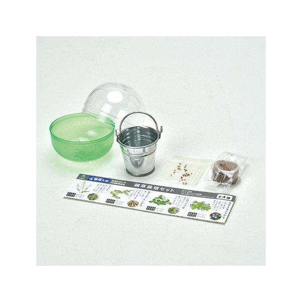 ※こちら商品は『単品』での販売となります。 全4種(ナズナ/カラスノエンドウ/シロツメクサ/オオイヌノフグリ)の中から1つをお送りいたします。種類は選べませんので、あらかじめご了承ください。栽培に必要なものをカプセルに詰め込んだ栽培セット「...