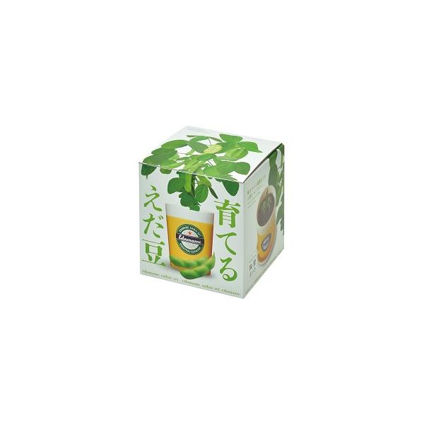 発売から15年のロングセラーの「えだ豆栽培セット 」箱とビール風陶器ポットのシールデザインを一新しました！ヘルシーなおつまみとして海外でも人気のえだ豆(EDAMAME)。豆まきから収穫までお楽しみください。品種(エダマメ)サイズ：W11.5...