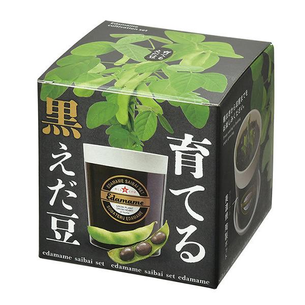 【 聖新陶芸 GD-995 育てる黒枝豆栽培セット 植物栽培セット 母の日 父の日 ギフト プレゼント 景品 学習教材】深い色合いがユニークな「黒えだ豆」が登場！食べたことがない人も、変わり種が好きな人もお家で種から育てちゃおう。W11.5...