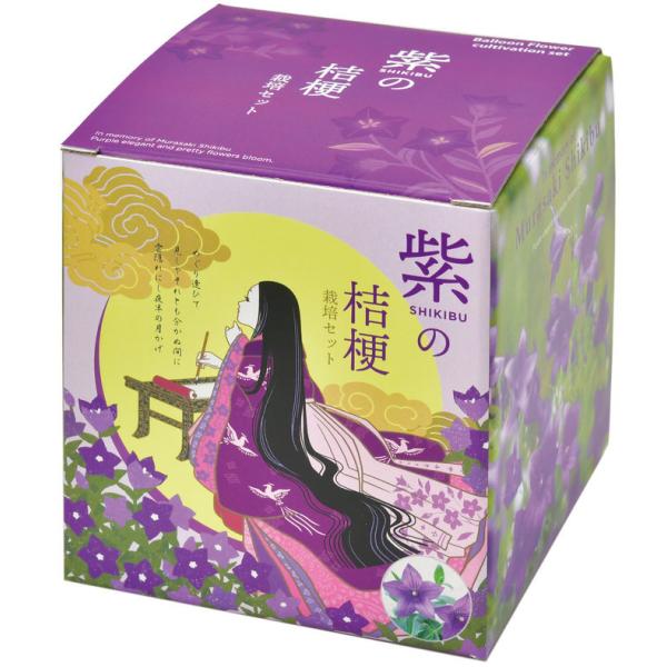 【 聖新陶芸 GD-999 紫式部の桔梗栽培セット 植物栽培セット 母の日 父の日 ギフト プレゼント 景品 学習教材】紫式部が源氏物語を執筆した邸宅の地に清々しく揺れる桔梗。千年の時を超えて読み継がれるストーリーにちなんだ桔梗を育てて、紫...