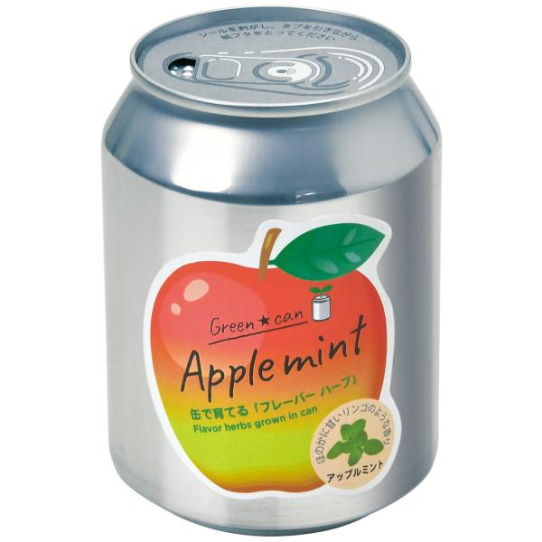 【 聖新陶芸 グリーンカン アップルミント GD-100601 栽培セットギフト インスタ映え 推し】フルーティーな香りが特徴のハーブを育てる栽培セット。ジュースを開けるような感覚で気軽に栽培をスタート！栽培専用の缶の中には、土がセットされ...