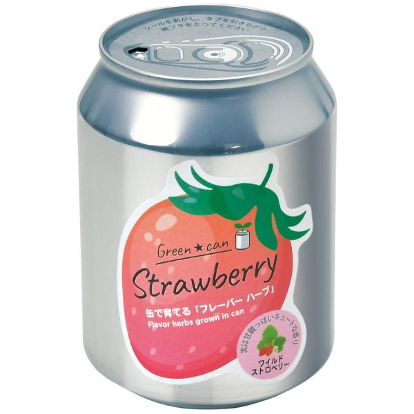 【 聖新陶芸 グリーンカン ワイルドストロベリー GD-100603 栽培セットギフト インスタ映え 推し】フルーティーな香りが特徴のハーブを育てる栽培セット。ジュースを開けるような感覚で気軽に栽培をスタート！栽培専用の缶の中には、土がセッ...