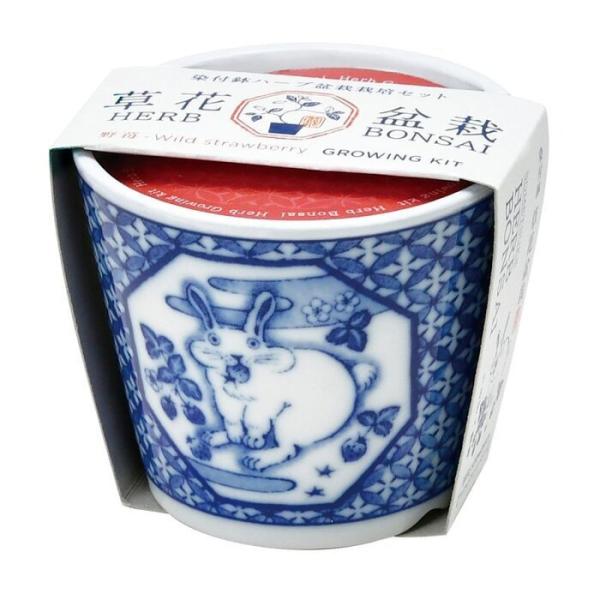 【聖新陶芸 染付小紋 草花BONSAI ウサギ ワイルドストロベリー GD-102201 ギフト 栽培セット ガーデニング 盆栽 母の日 父の日】藍色の染付鉢で、盆栽風にハーブを育てます。古くより縁起が良いとされる動物、伝統的な和文様、草花...