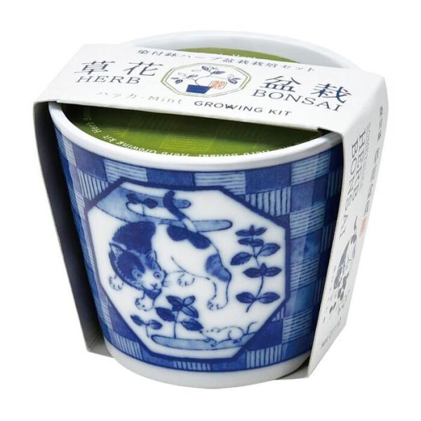【聖新陶芸 染付小紋 草花BONSAI ネコ ミント GD-102202 ギフト 栽培セット ガーデニング 盆栽 母の日 父の日】藍色の染付鉢で、盆栽風にハーブを育てます。古くより縁起が良いとされる動物、伝統的な和文様、草花を組み合わせたデ...