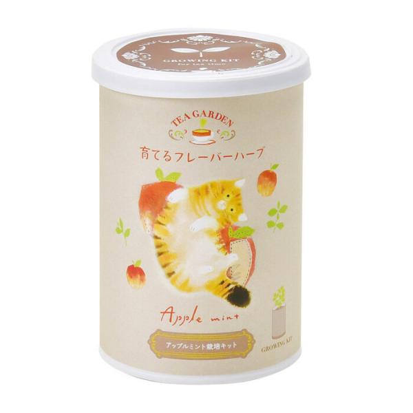 【聖新陶芸 育てるフレーバー ハーブ アップルミント GD-102501 栽培セットギフト プレゼント】こちらの商品は、アップルミントです。【サイズ】直径7cm H10.3cm取扱説明書（日本語／英語）ティータイムをイメージした香りが豊かな...