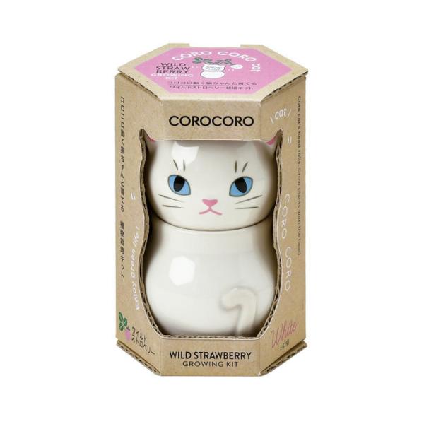 【聖新陶芸 コロコロ キャット 白/ワイルドストロベリー GD-102603 栽培セットギフト プレゼント】こちらの商品は、ワイルドストロベリーです。【サイズ】W6.3cm D5.5cm H10cm取扱説明書（日本語／英語）猫たちがコロンと...