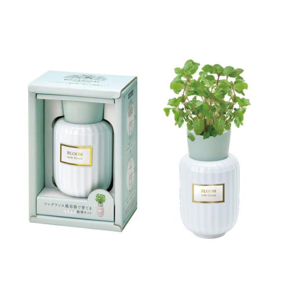 【聖新陶芸 ボタニカル フレグランス ミント GD-103001 栽培セットギフト プレゼント】こちらの商品は、ミントです。【サイズ】W8cm D5.8cm H12.3cm取扱説明書（日本語／英語）アロマディフューザー風の給水ボトルで、香り...