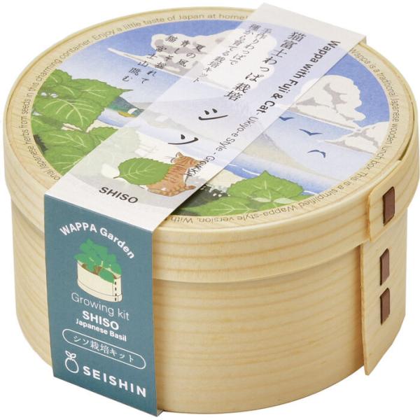 【聖新陶芸 猫富士わっぱ シソ GD-105002 ギフト 栽培セット ガーデニング 母の日 父の日】日本製の曲げわっぱで、和食に欠かせない葉菜を育てます。四季折々の富士の景色と猫をデザインした浮世絵風のパッケージ。わっぱの風合いとおうちで...