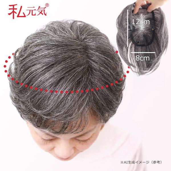 【商品のご紹介】ふんわり自然にトップをカバーする立体的な総手植え仕様の部分ウィッグです。総手植え×人毛ミックス BHA812髪の素材と割合：白髪40％（ファイバー）＋黒髪60％（人毛）製法：総手植え仕様で自然なふんわり感です。形状記憶効果も...