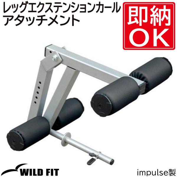 ■送料無料（北海道・沖縄・その他離島は別途送料あり）WILD FIT （ワイルドフィット）※注意事項を必ずご確認下さい。
