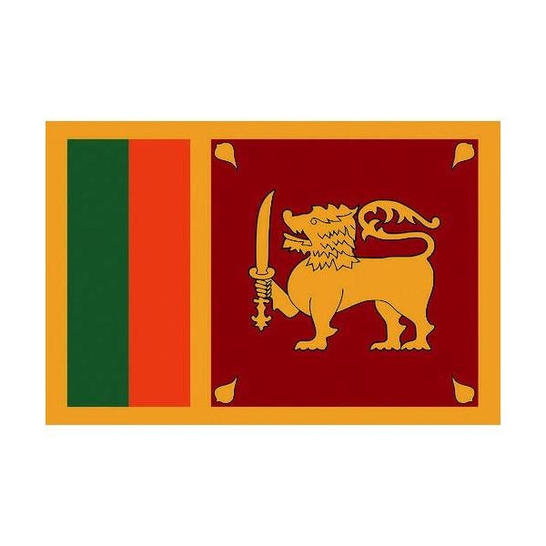 【商品概要】●レザーハトメ加工（取付ひも付）●四方ミシン縫製【商品説明】【商品詳細】ブランド：東京製旗(Tokyo Seiki)商品種別：おもちゃ商品名：東京製旗 国旗Ｎｏ．２（９０×１３５ｃｍ） スリランカ 426347製造元：東京製旗(...