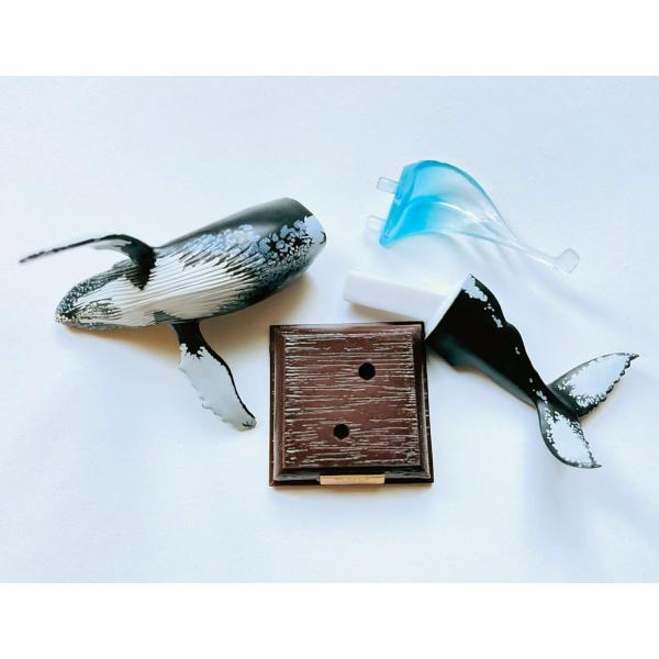 ■システム反映の都合上、ご購入後でも品切れになっている場合があります。その場合、ヤフーショッピングメッセージにて通知致します。必ずご確認をお願いします。■サイズ・カラー等の記載が無い場合や複数記載がある場合があります。ご不明点は、ご購入前に...