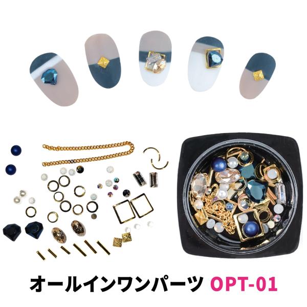 ネイルパーツセット オールインワンパーツ　タイプ：OPT-01・何種類ものネイルパーツを別々に買い集めると、それなりに費用もかさみますよね。・ワンポイントで使いたいのに、10個入り、20個入りで販売していることも。・数種類のオールインワンパ...