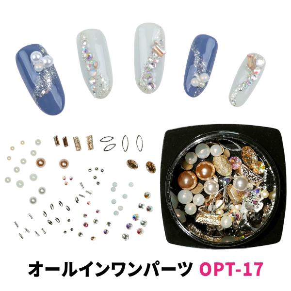 ネイルパーツセット オールインワンパーツ　タイプ：OPT-17・何種類ものネイルパーツを別々に買い集めると、それなりに費用もかさみますよね。・ワンポイントで使いたいのに、10個入り、20個入りで販売していることも。・数種類のオールインワンパ...