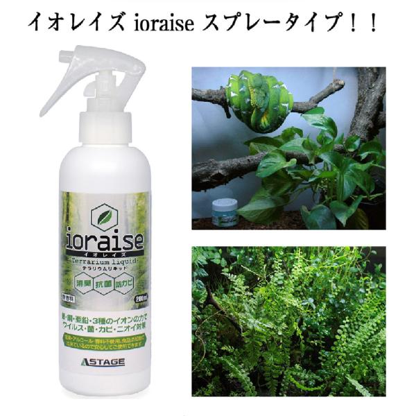 商品名：イオレイズ テラリウムリキッド品番：ASG-003JAN：4582521000043内容量：200mlイオレイズに使い易いスプレータイプが登場！速効性と持続性を併せ持ったとても使い易い商品です。水分が乾いてからも抗菌するため効果が長...