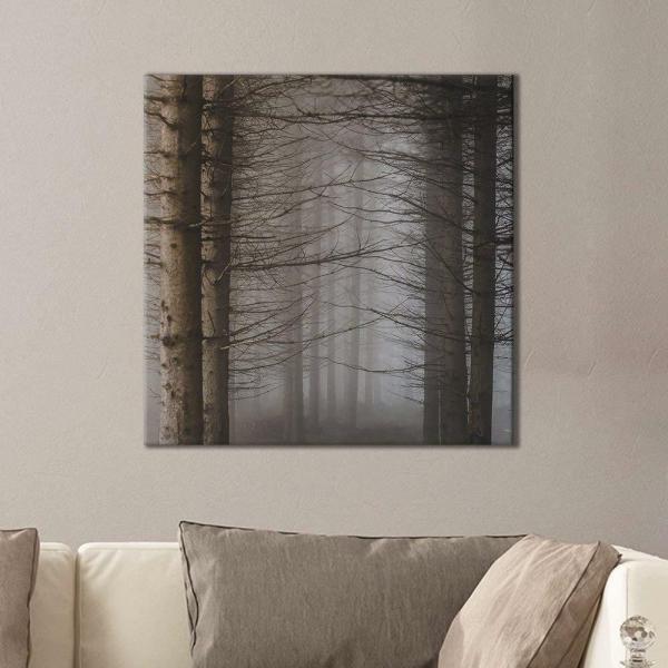 パネルアート Wall 26-Square Tall Trees between the Mist in Winter Gallery-CVS - 16x16インチ- show original title