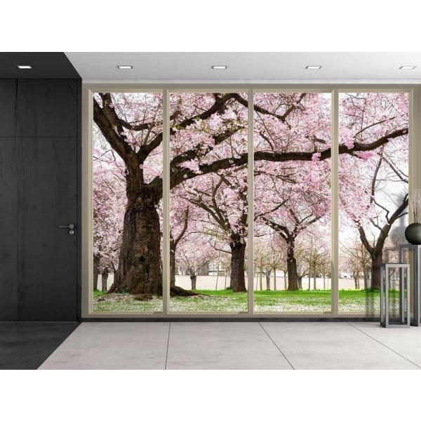 パネルアート Wall 26-Petals Falling from Cherry Blossom Trees-Creative Wall Mural - 66x96- show original title